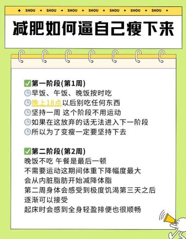 人胖了怎么能瘦下来图标