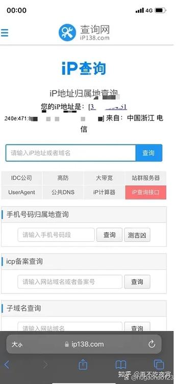 查询ip地址图标