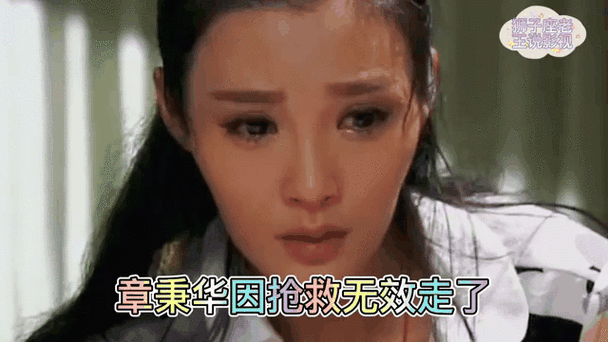 女主叫邵婷的电视剧图标