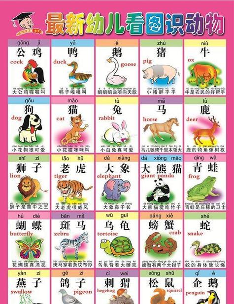 看图识字在线识别缩略图