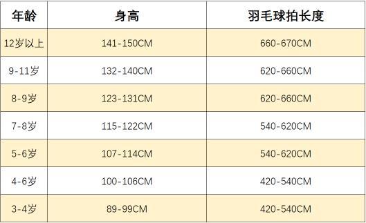 羽毛球拍尺寸一览表图标