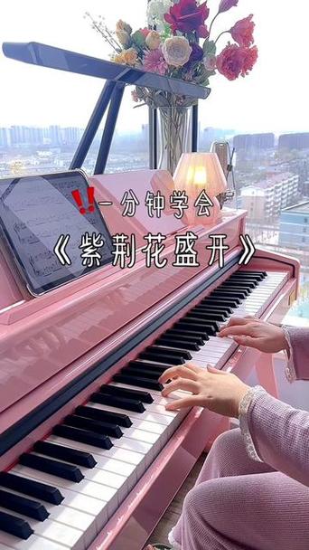 《紫荆花盛开》钢琴谱图标