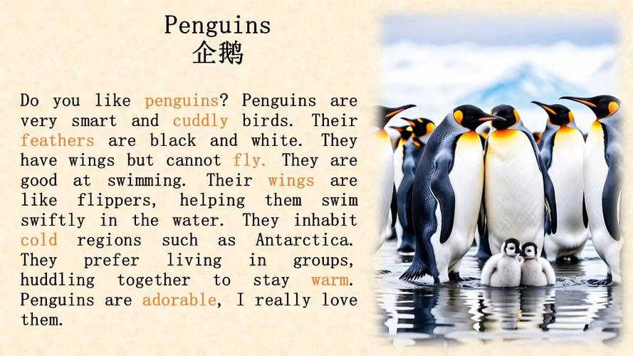 企鹅阅读图标