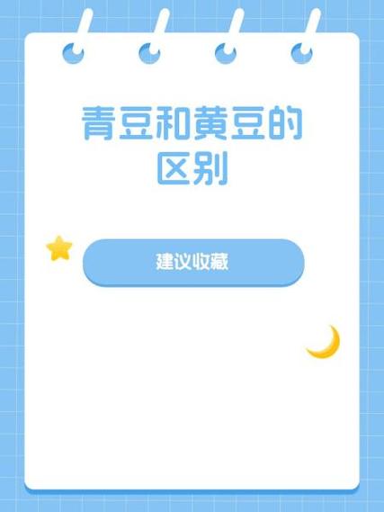 新青豆小说阅读网截图
