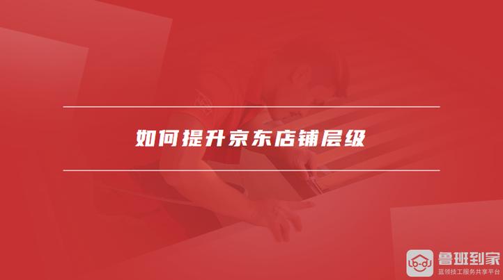 京东L4和L5店铺层级