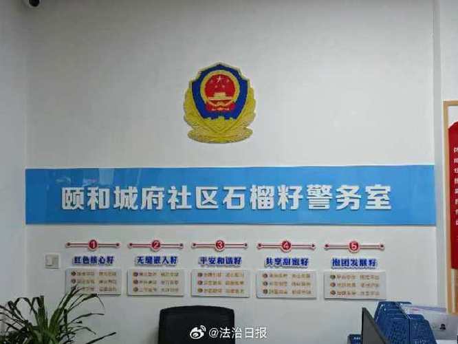 以下对社区联盟说法不正确的是