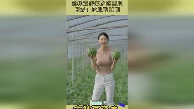 网红西瓜个人资料图标