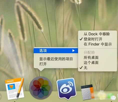 mac开机自动打开软件怎么办图标