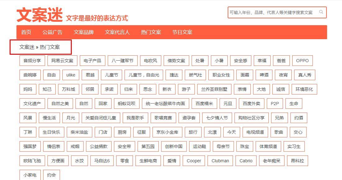 自媒体资源网图标