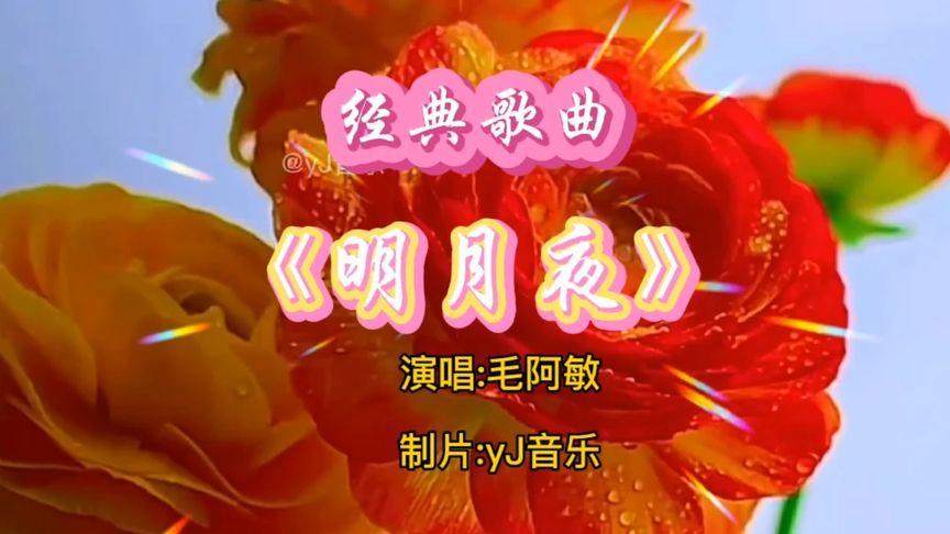 毛阿敏明月夜歌曲图标