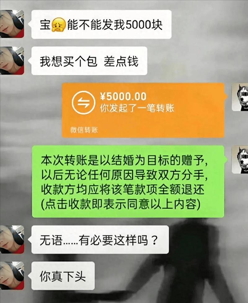 微信转账已收款能要回来吗图标