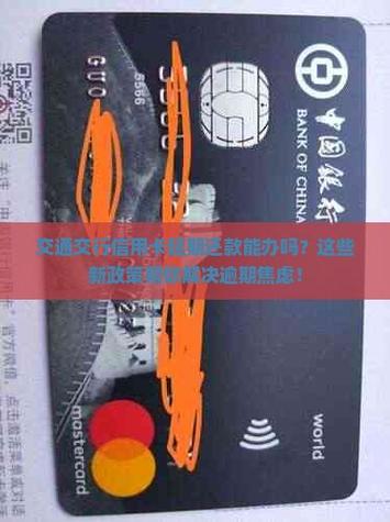 信用卡可以延期还款吗图标