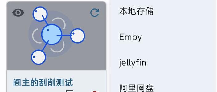 infuse 支持的格式截图