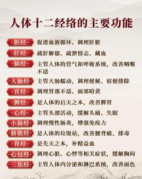 中医的络指的是什么图标