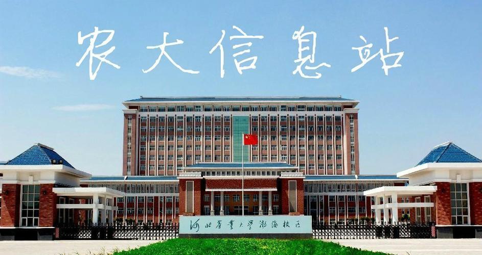 河北农业大学教务系统入口图标