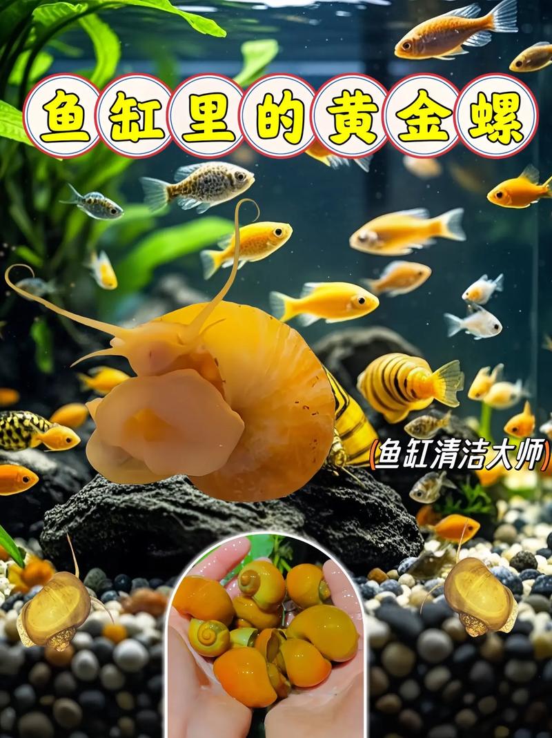 内存条的金手指可以拿什么擦图标