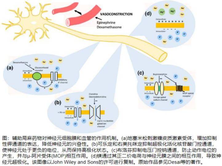 肾上腺素中毒量为多少图标
