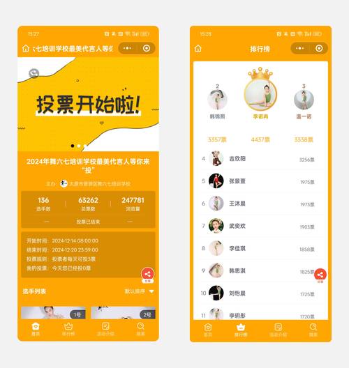 刷投票小助手软件