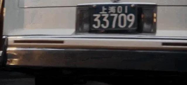 查询电动车牌照信息图标