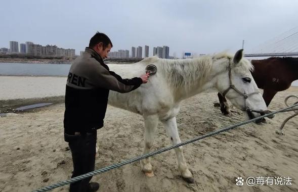 驯马犬教程图标