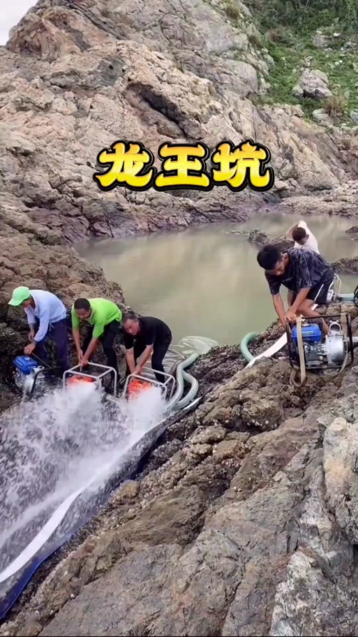 赶海抽水抓鱼图标