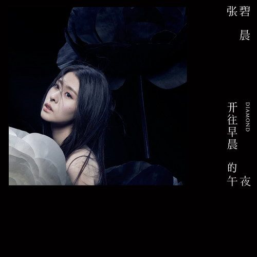 个人出专辑截图