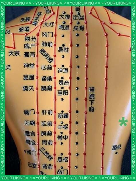 3d经络图解高清大图图标