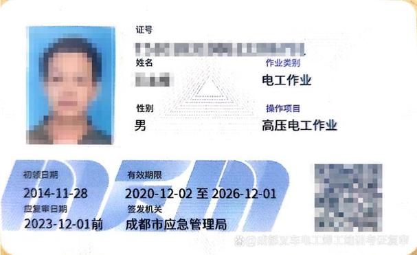 高压证复审新规图标