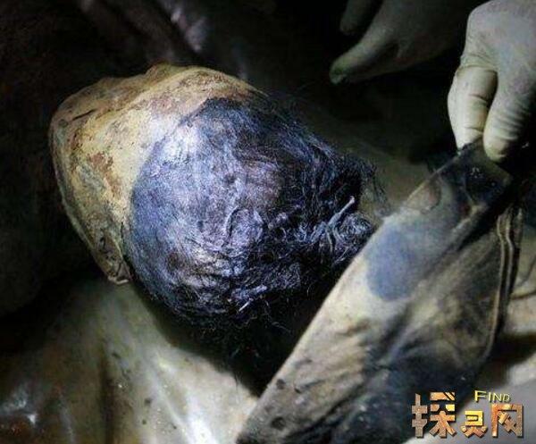 僵尸:养尸真经,我养成了僵尸?截图