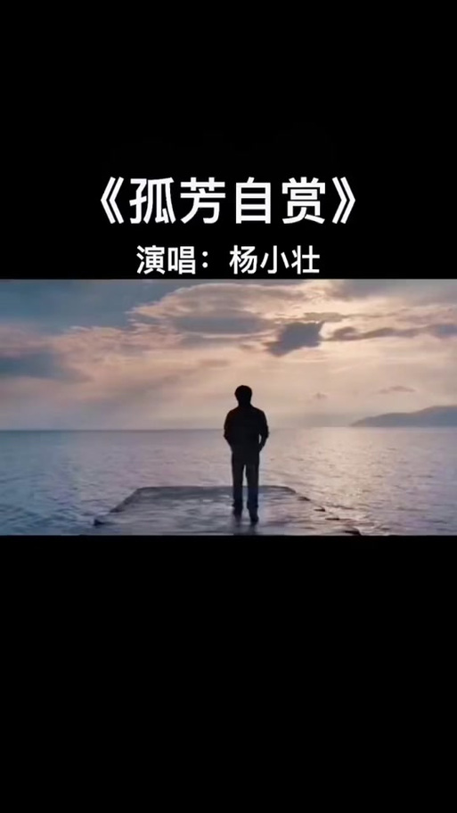 孤芳自赏在线听
