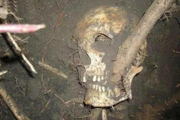 死人骨头可怕吗图标