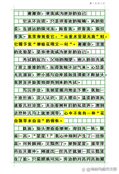 2019中考满分作文记叙文截图