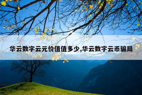 华云数字云元是什么图标