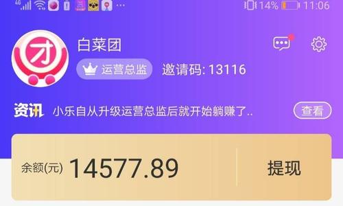 高佣联盟跟花生返利哪个好