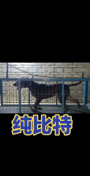 比特28几分钟分钟一次图标