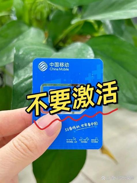 自己激活的流量卡截图