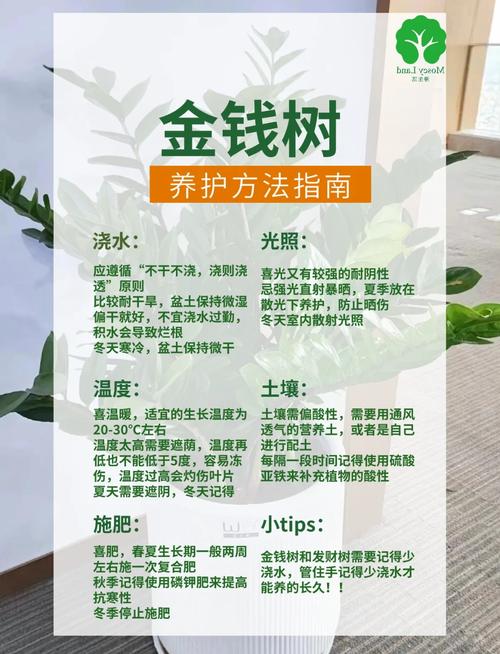 树下种植什么挣钱图标