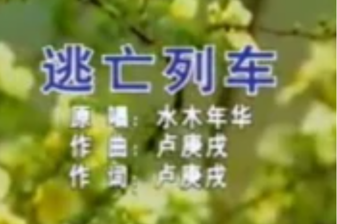 逃亡列车电影日本免费观看图标