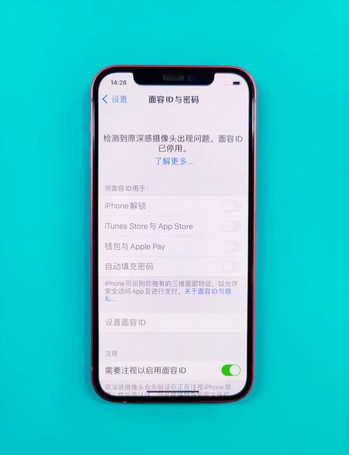苹果12面容突然用不了图标