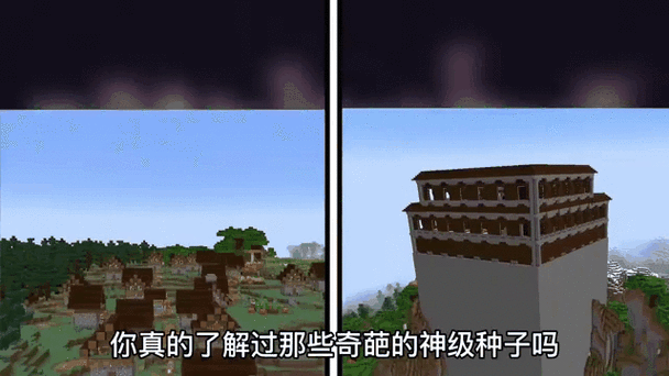 我的世界恶魔果实种子截图