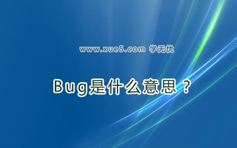 什么是bug问题图标