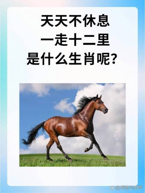 娱乐指是哪个生肖图标