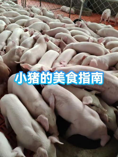 美食家小猪做法配方截图