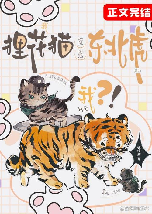 我狸花猫抚慰东北虎番外图标