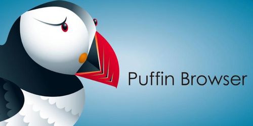 puffin browser安卓最新版图标