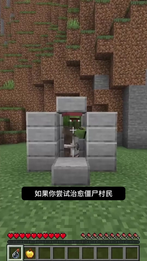 我的世界如何救村民图标
