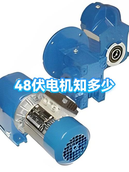 12一48伏小型电机截图