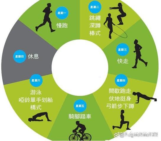 十大有氧运动图标