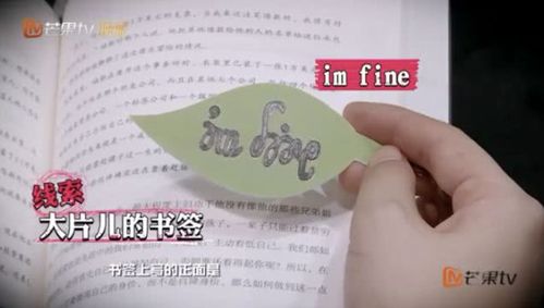 说信IM截图