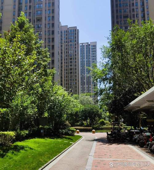 巅峰赛排名是大区还是小区图标